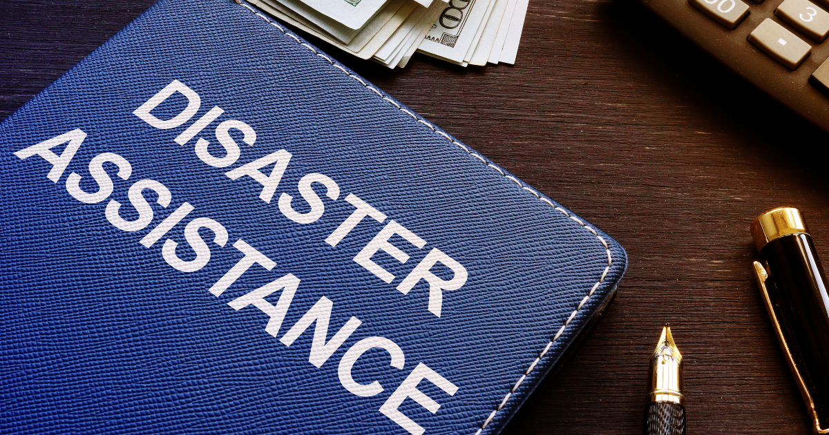 Hurricane Recovery: Steps to Get Help After a Hurricane